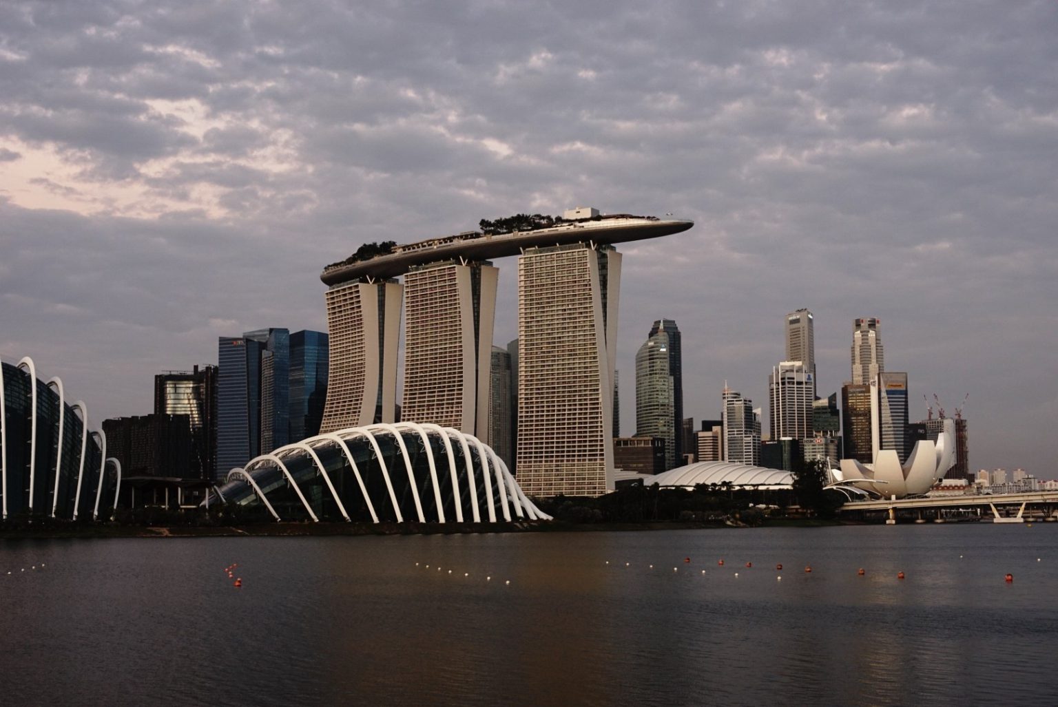 ネクストビジョングループ代表blog - We have the next vision.